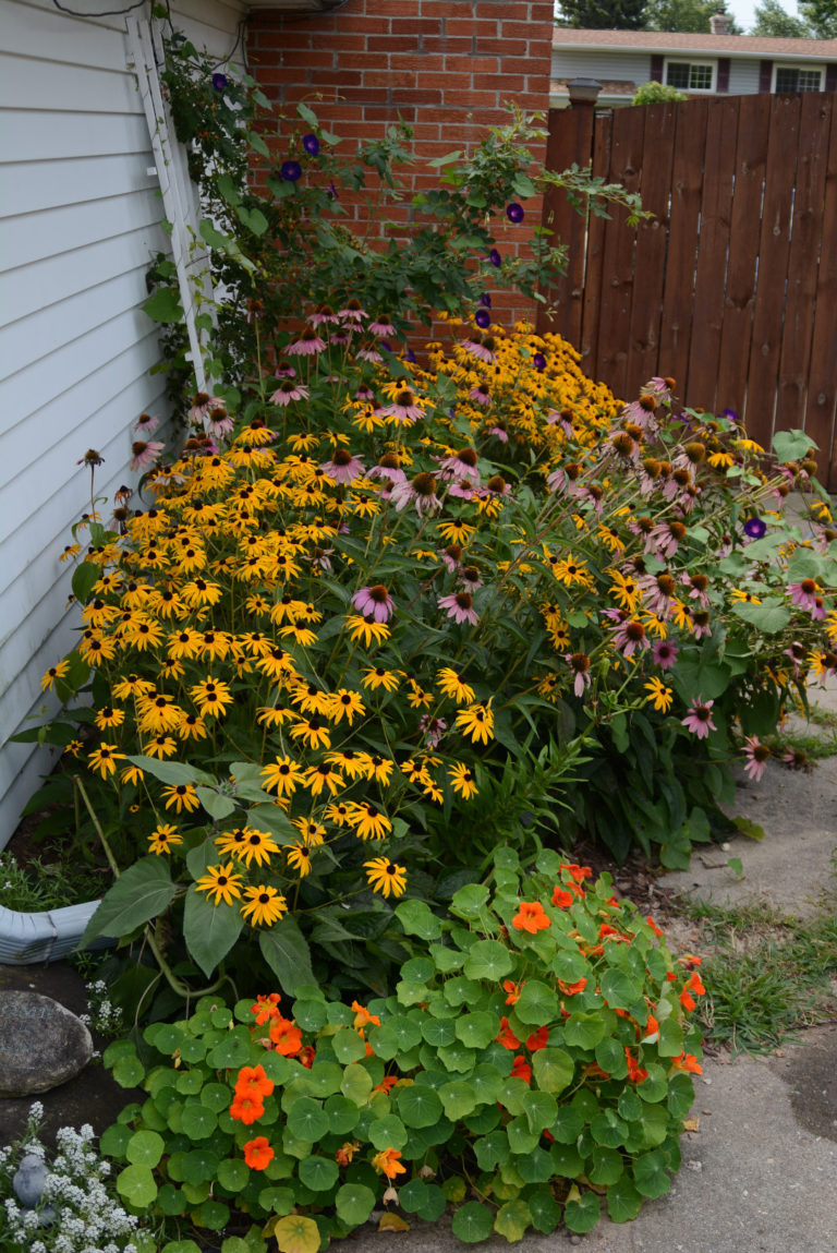 Saying Goodbye to a Garden - Fine Gardening