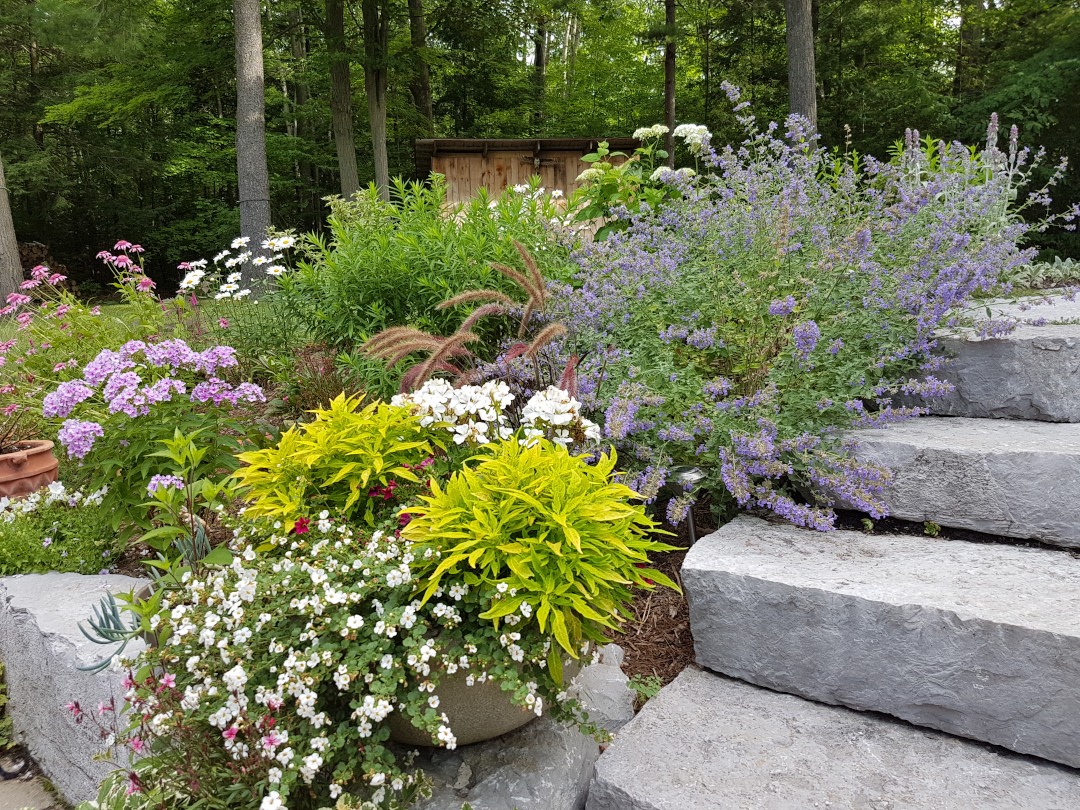 Spring in a Canadian Garden - Fine Gardening