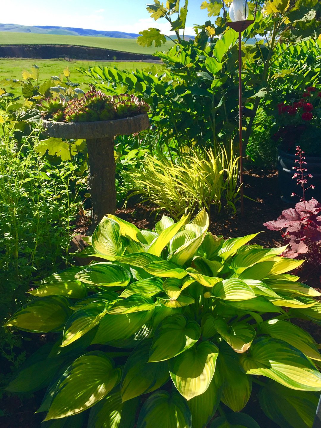 Garden at the Foot of the Mountains - Fine Gardening