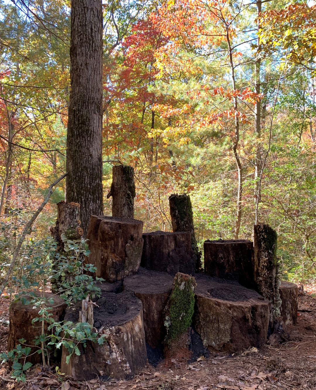 Garden Stumperies - Fine Gardening