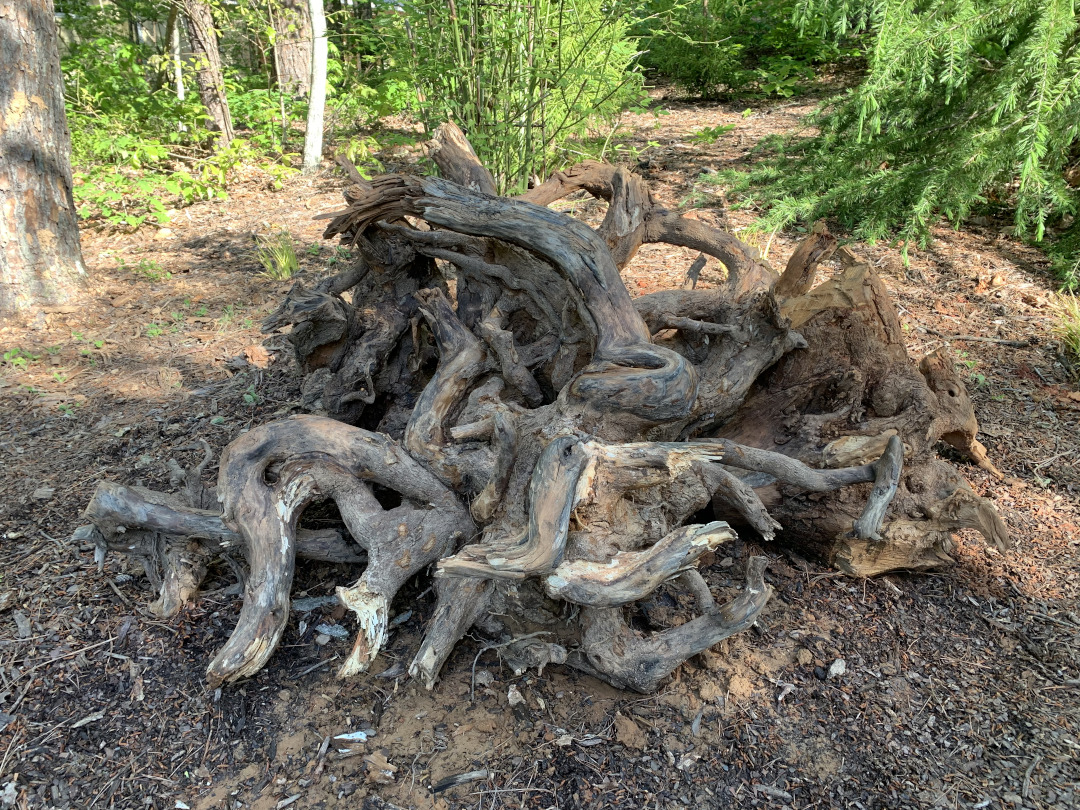 Garden Stumperies - Fine Gardening