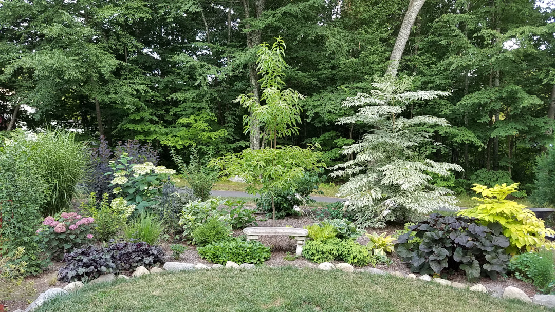 Making a New Garden in Connecticut - Fine Gardening