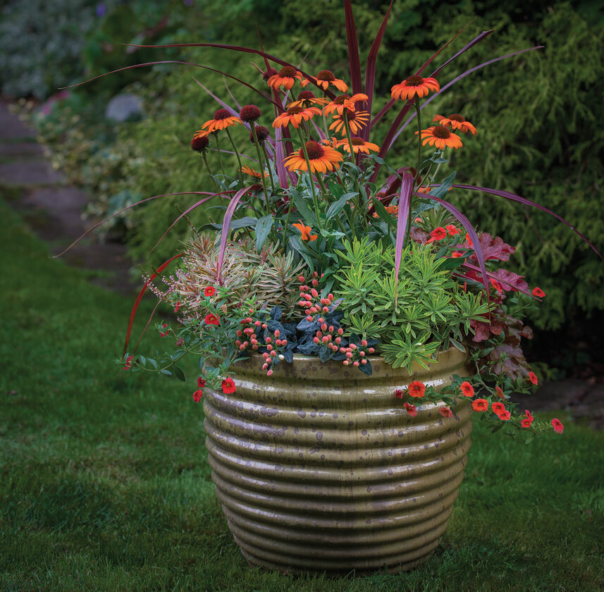 Spice Up Autumn Containers With Spiky Silhouettes—Planting Plans - Fine ...