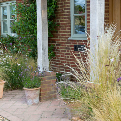 Great Medium-Size Grasses - Fine Gardening