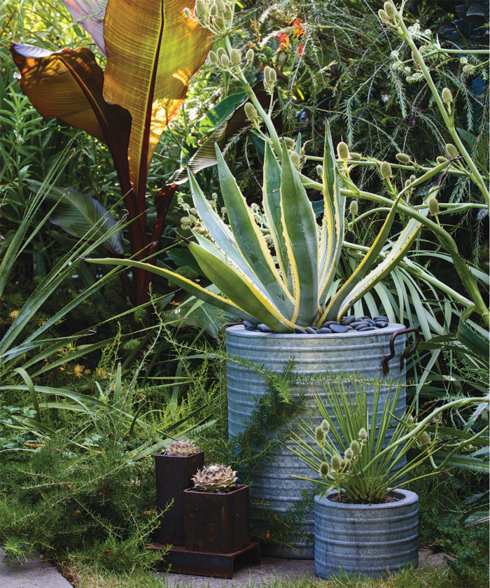 Best Plants to Add Texture to Your Garden - Fine Gardening