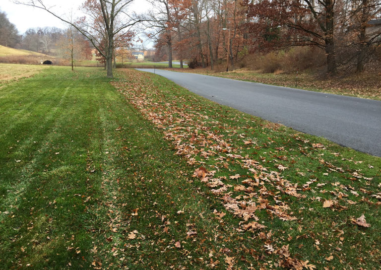Putting the Garden to Bed—or Not—in the Mid-Atlantic - Fine Gardening