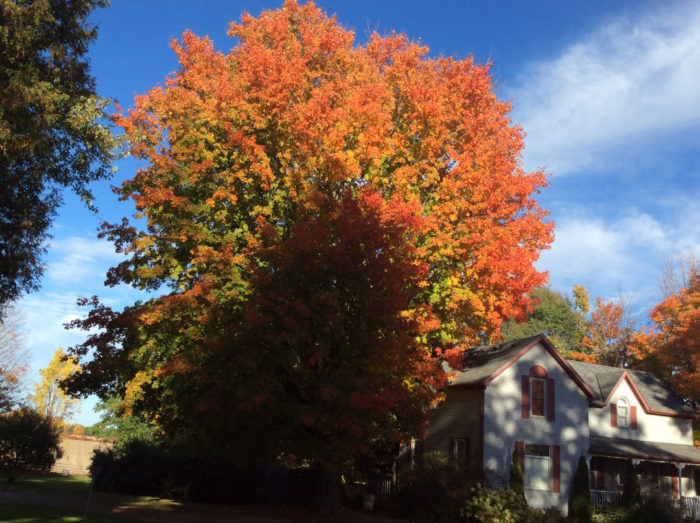 October in Ontario - Fine Gardening