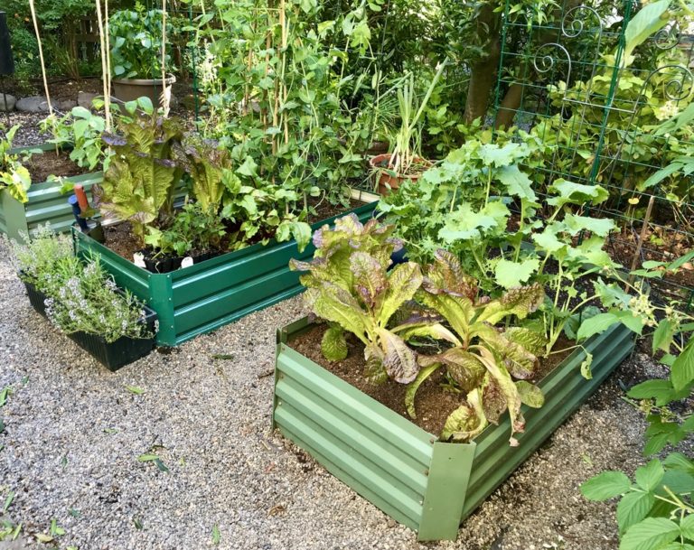 Shelter-at-Home Garden Projects - Fine Gardening