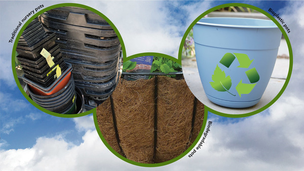 Biodegradable Pots: What You Need to Know - FineGardening