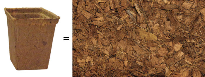 Macetas biodegradables: lo que necesita saber