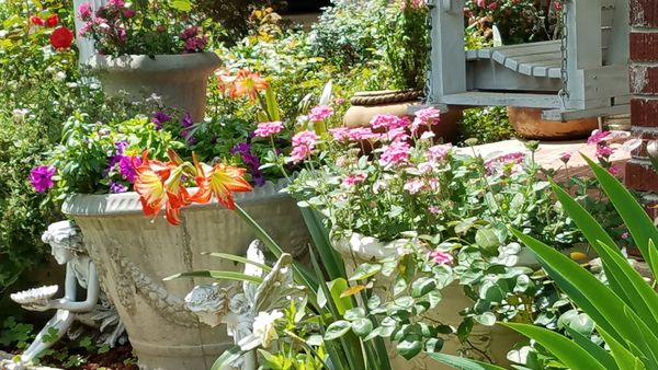 Anticipating Spring in New Hampshire - Fine Gardening