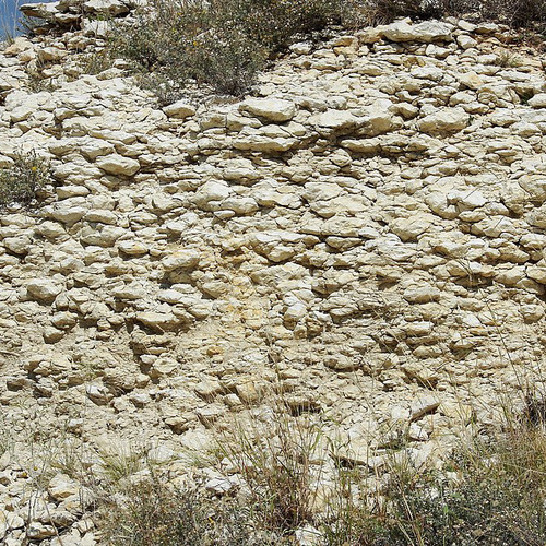 Gardening with Caliche Soil in the Southern Plains - Fine Gardening