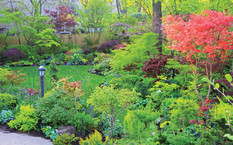 How to Design a Colorful Shade Garden - Fine Gardening