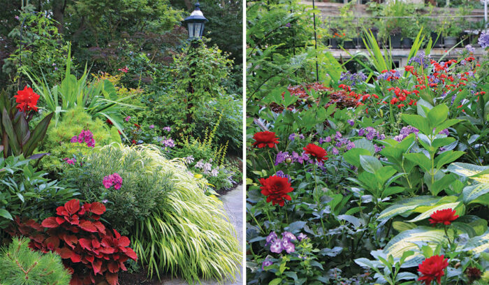 Cómo diseñar un jardín de sombra colorido