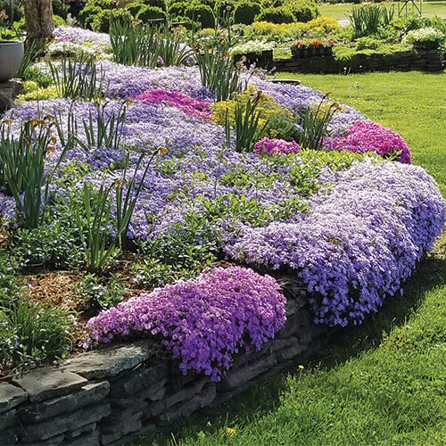 Fine Gardening – Issue 198 - Fine Gardening