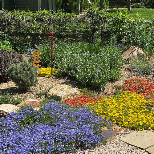 Xeriscape Gardening - Fine Gardening