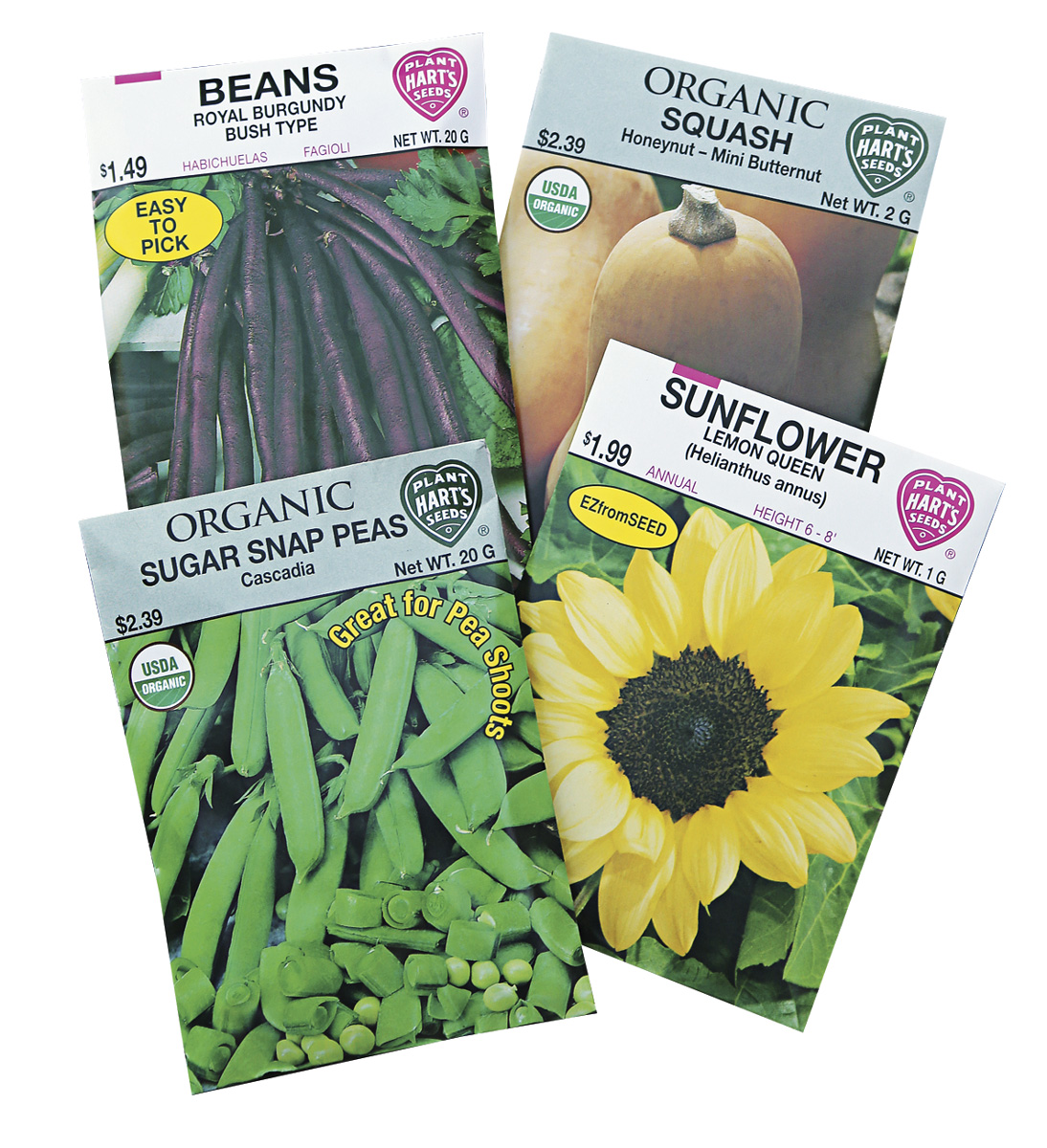 The Dos and Don’ts of Direct Sowing - Fine Gardening
