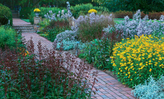 Native Plants with Show-Stopping Autumn Color - Fine Gardening