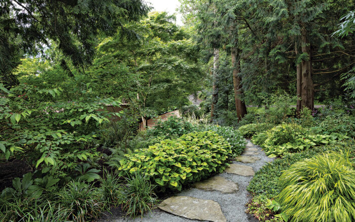 A Deer-Proof Garden Design for Dry Shade - Fine Gardening