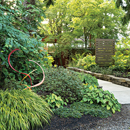 Anatomy of a Dry-Shade Planting - Fine Gardening