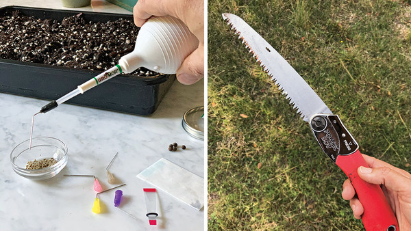 Favorite Tools in My SoCal Garden - FineGardening