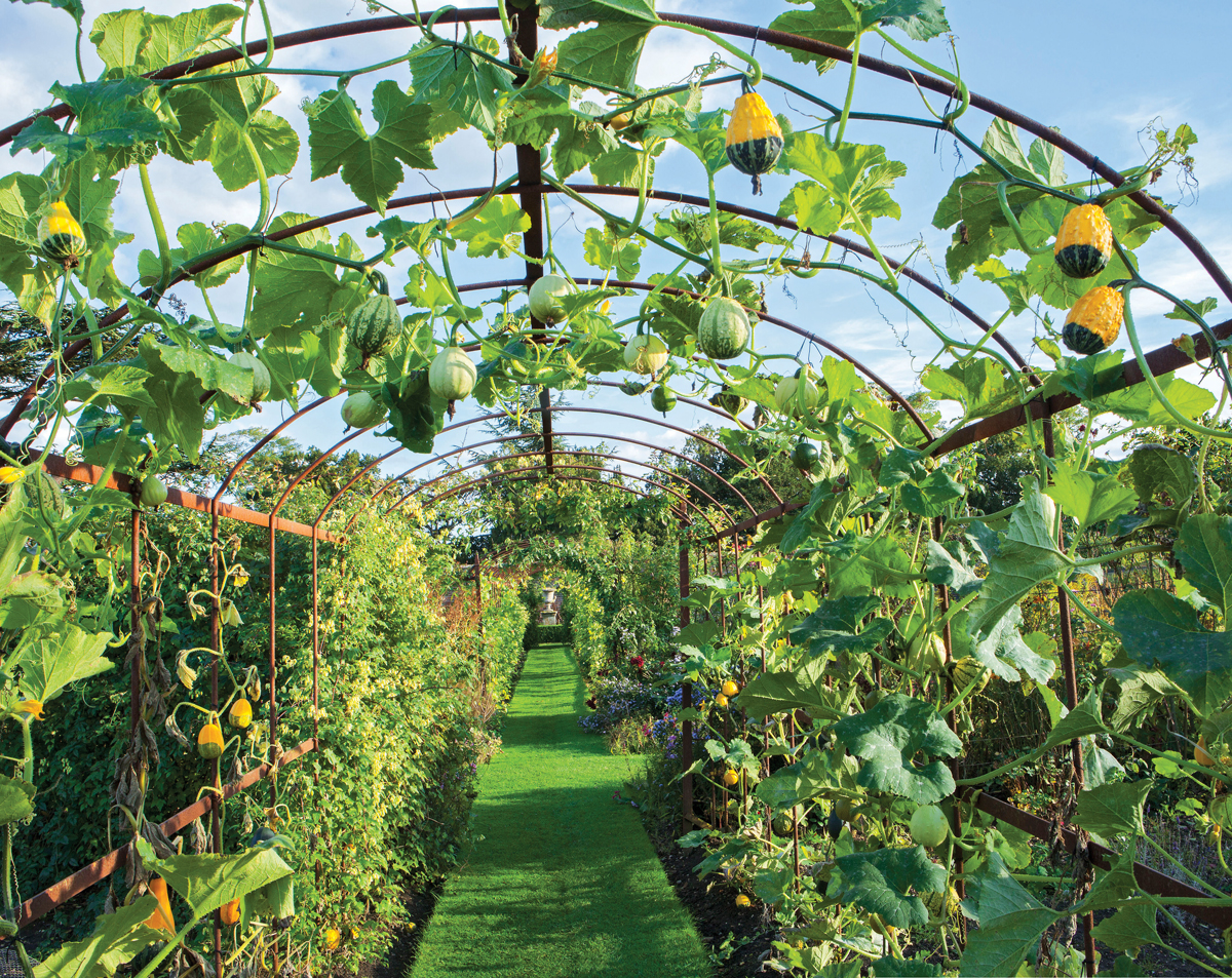 Cool Trellising Ideas - Fine Gardening