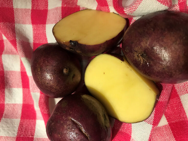 Growing Potatoes in Northern California - Fine Gardening