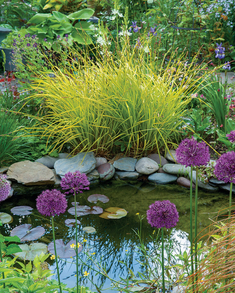 What Chartreuse Plants Can Do for You - Fine Gardening