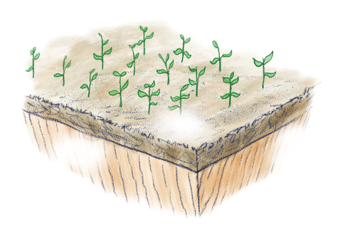 Garden Math: Calculating the Area and Depth of Your Garden - Fine Gardening