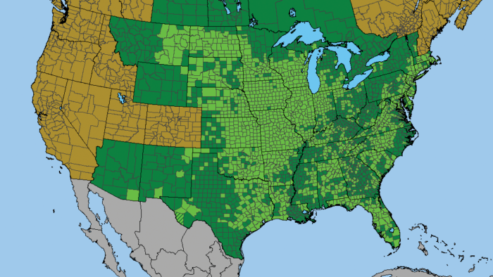 Grow Native Milkweeds to Bring Pollinators to Your Garden - Fine Gardening