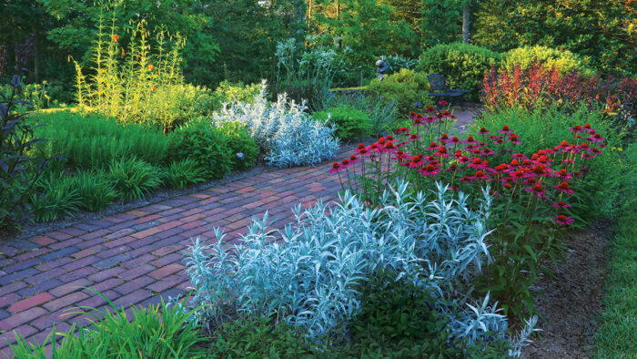 10 Great Natives for a Sunny Border - Fine Gardening