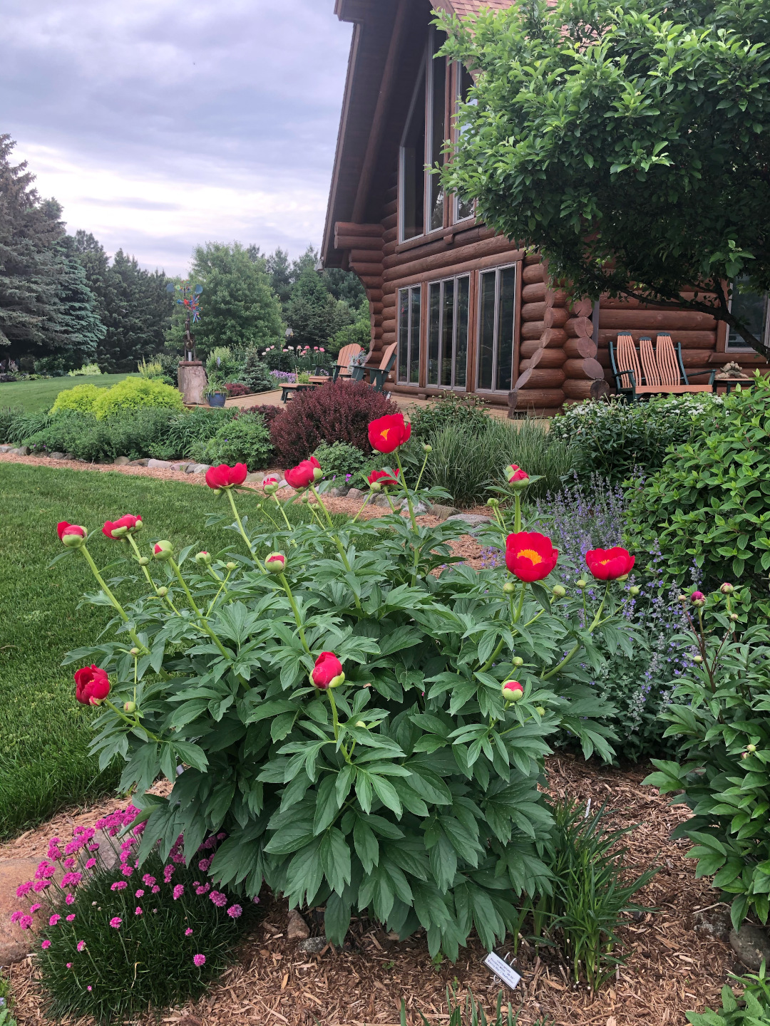 Cindy's Wisconsin Garden - Fine Gardening