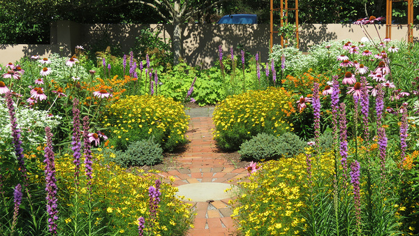 Native Flowers for a Mid-Atlantic Cutting Garden - Fine Gardening