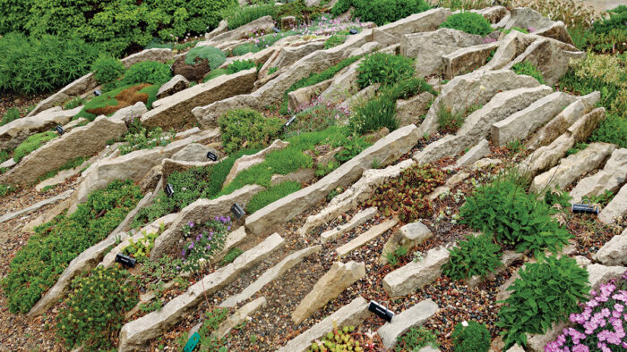 How to Build a Crevice Garden - Fine Gardening