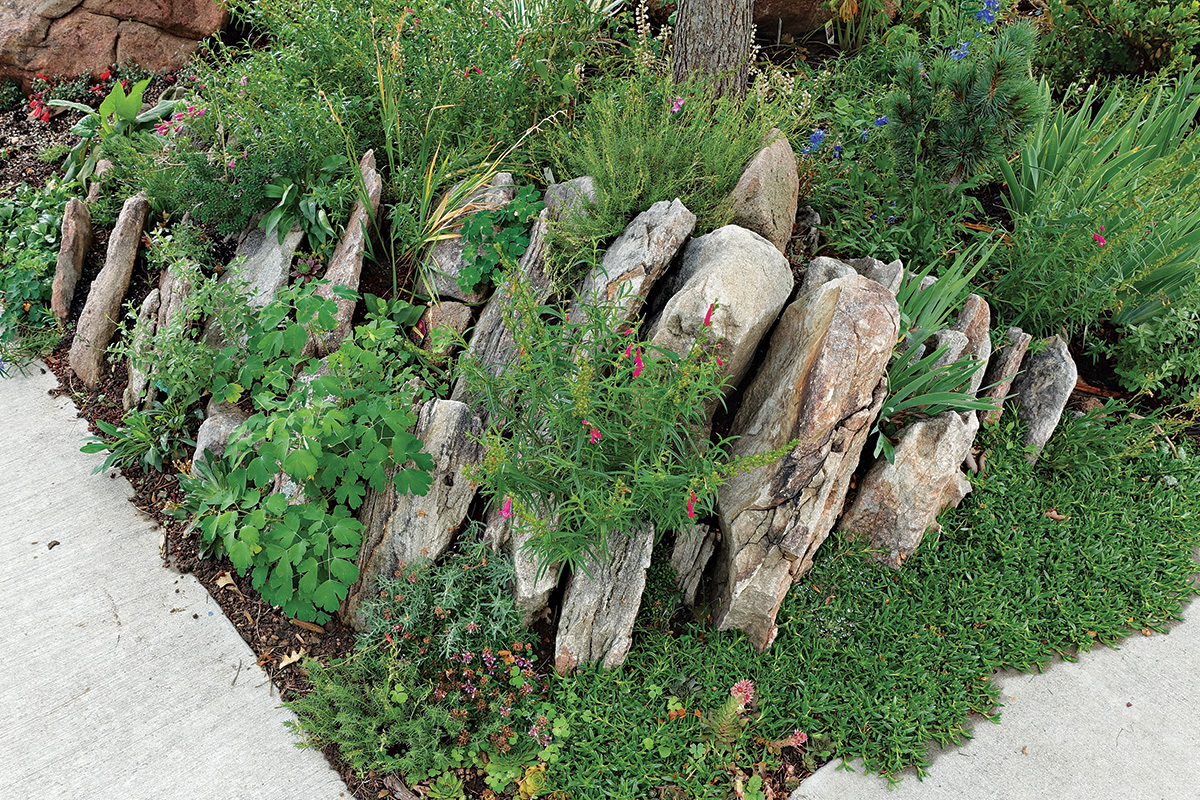 How to Build a Crevice Garden - Fine Gardening