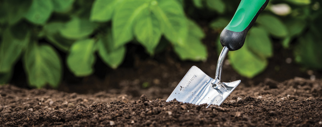 Gardening Basics - FineGardening