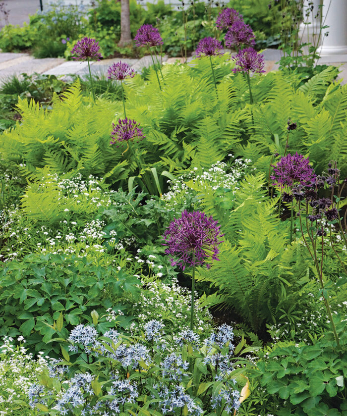 A Naturalistic Garden Is Better for the Environment and Requires Less ...