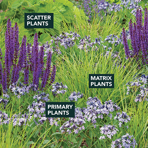 Plants for a Matrix-Style Garden - Fine Gardening