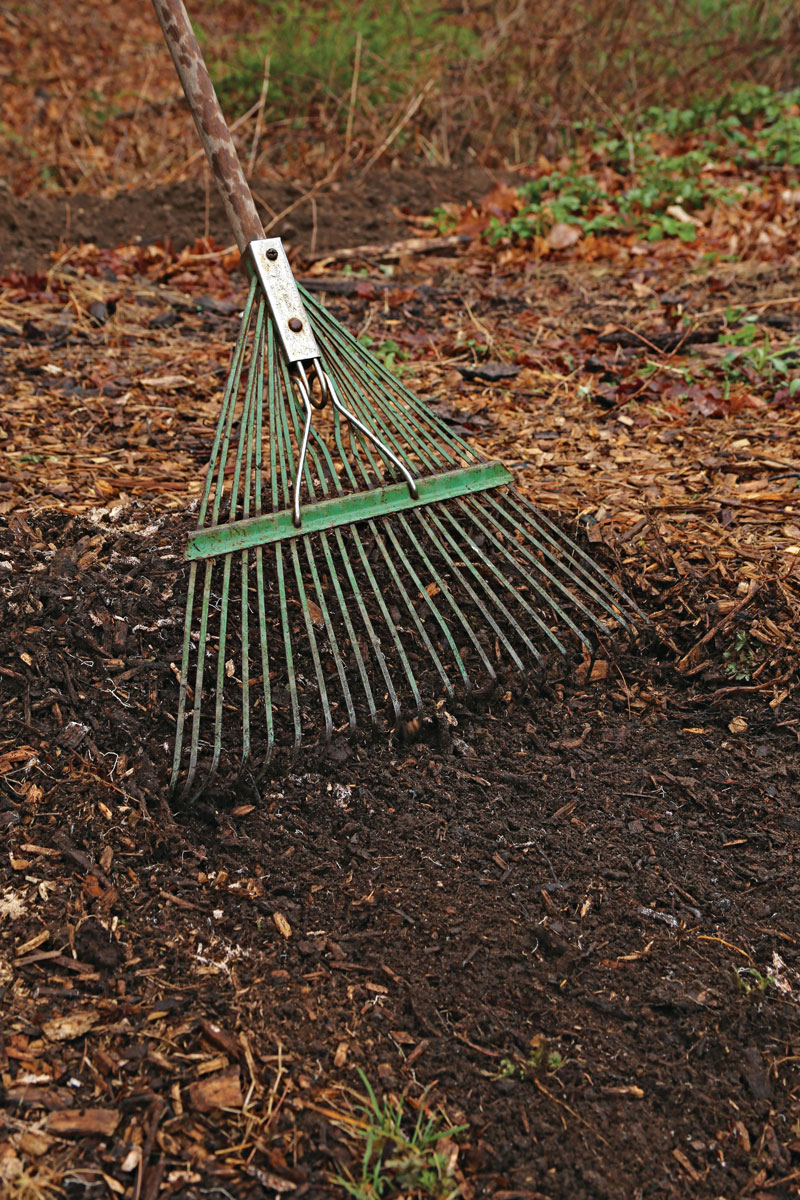 Sustainable Solutions for Your Lawn - FineGardening