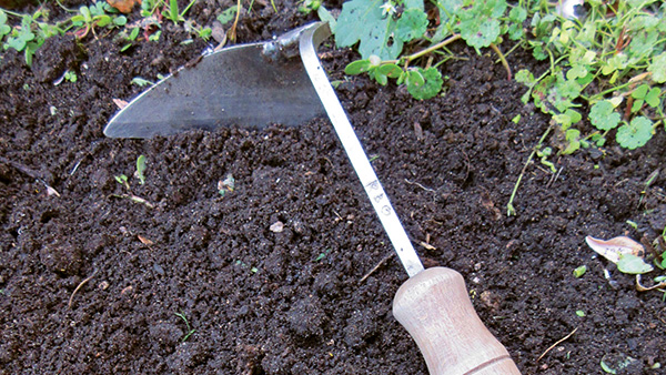This Hoe Is an Upgraded Classic - Fine Gardening