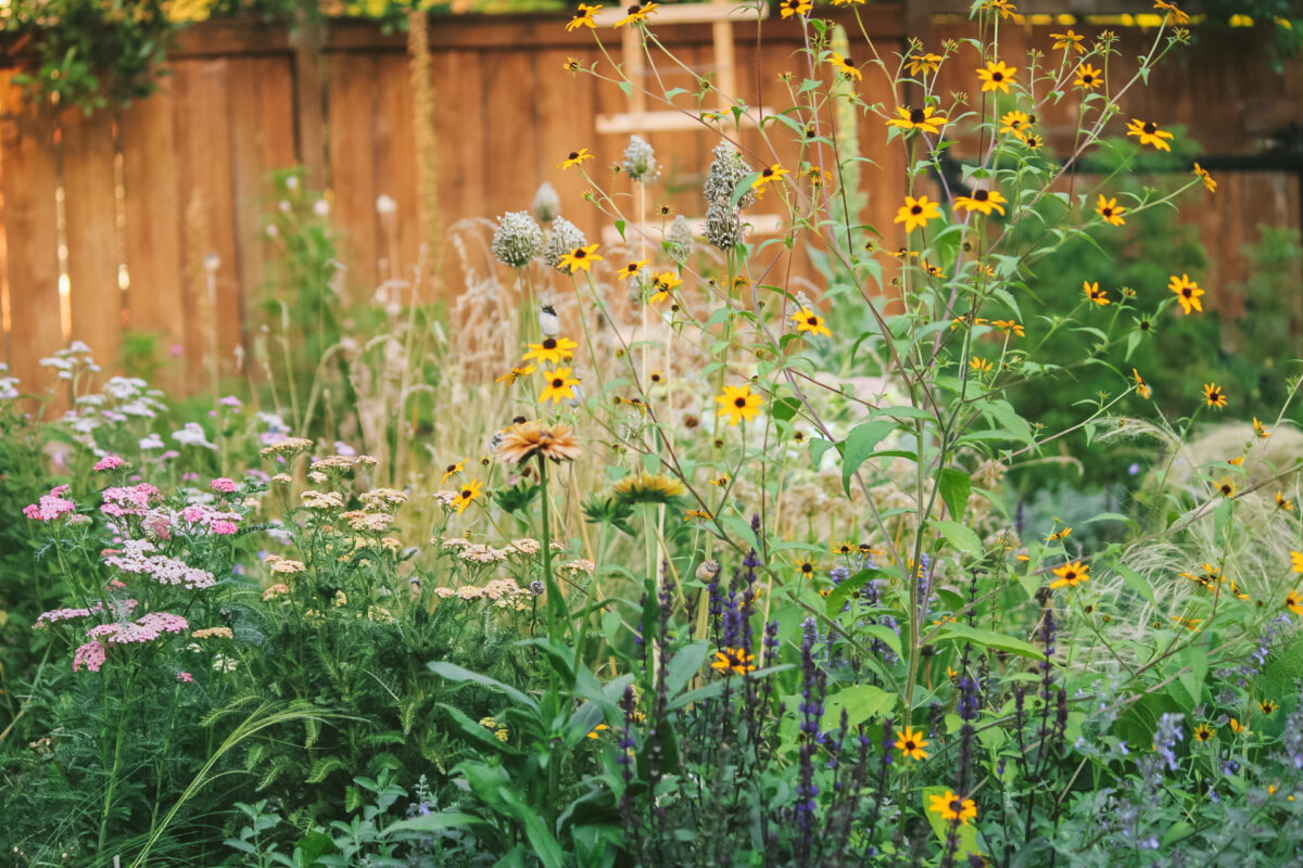 Lessons Learned From a New Garden - Fine Gardening