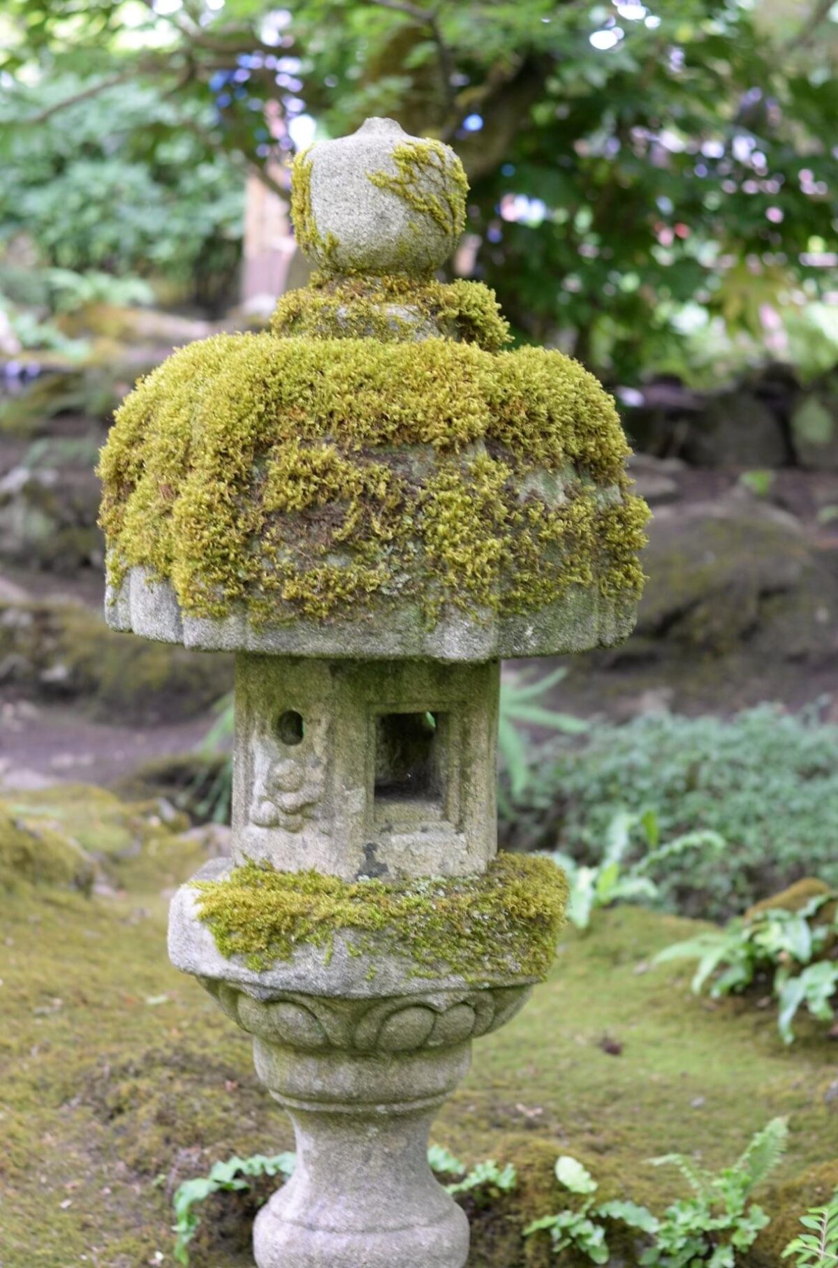 Where’s Cherry? Burchart Japanese Garden - Fine Gardening