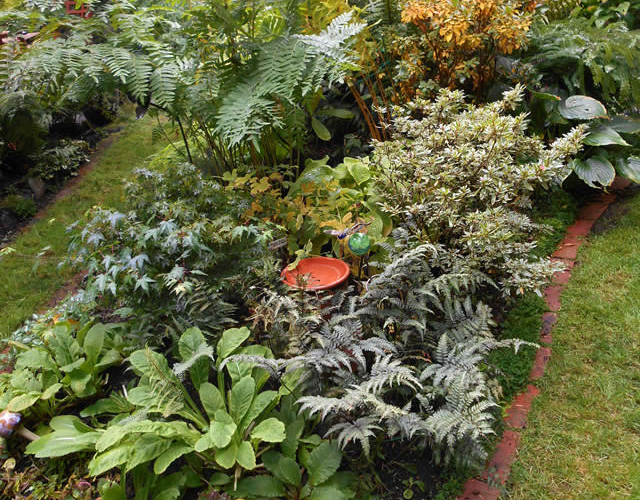 Learning to Embrace Shade in the Garden - Fine Gardening