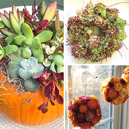 8 Easy Holiday Garden Crafts - FineGardening