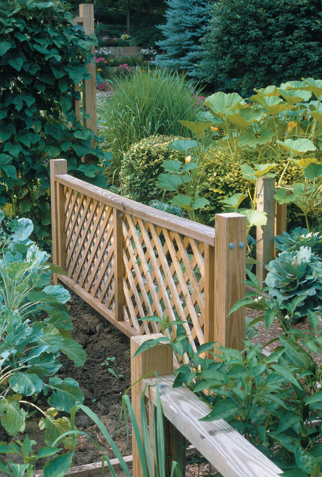 Lattice Can Help Organize Your Veggie Garden - Fine Gardening