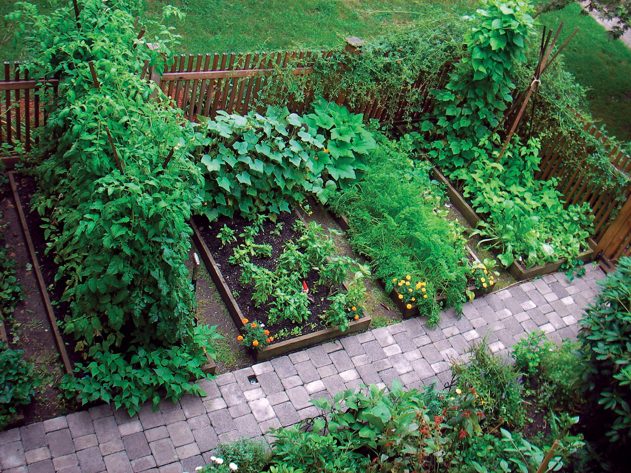 Maximize Your Harvest with Succession Planting - Fine Gardening