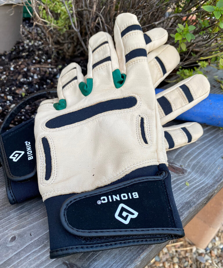 Essentials Tools for Your Veggie Garden - Fine Gardening