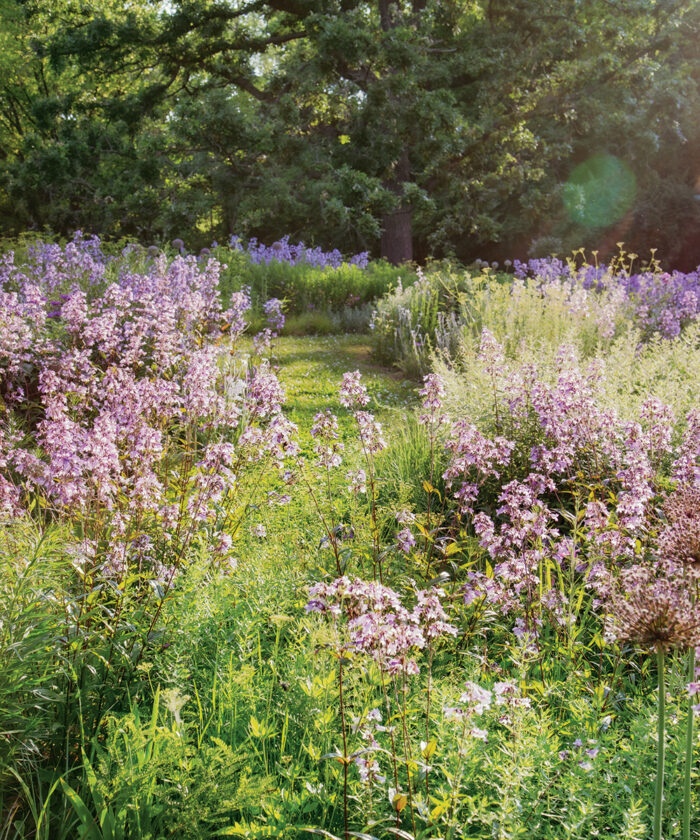 How to Turn Your Lawn into a Wildflower Meadow - Fine Gardening