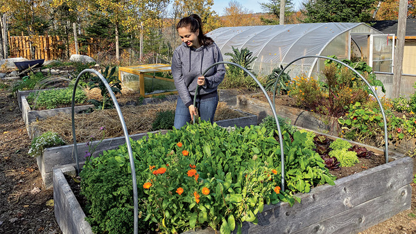 How to Build and Use a Mini Hoop Tunnel - Fine Gardening
