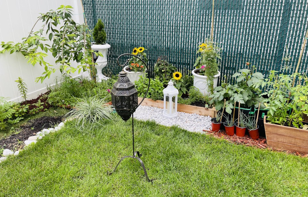 Aissa’s New Garden - Fine Gardening